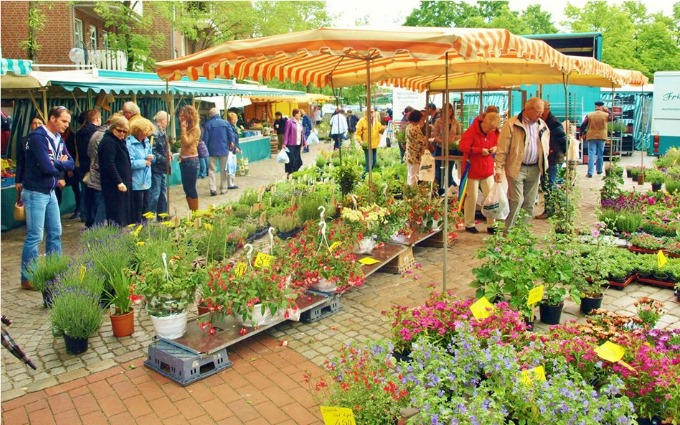 Vorübergehende Verlegung für festlichen Glanz: Leeraner Wochenmarkt weicht dem Weihnachtsmarkt ...